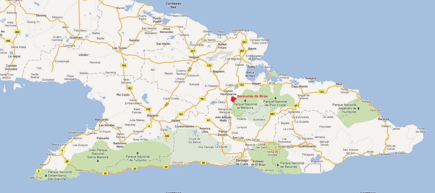 Güicho Crónico: noviembre 2011