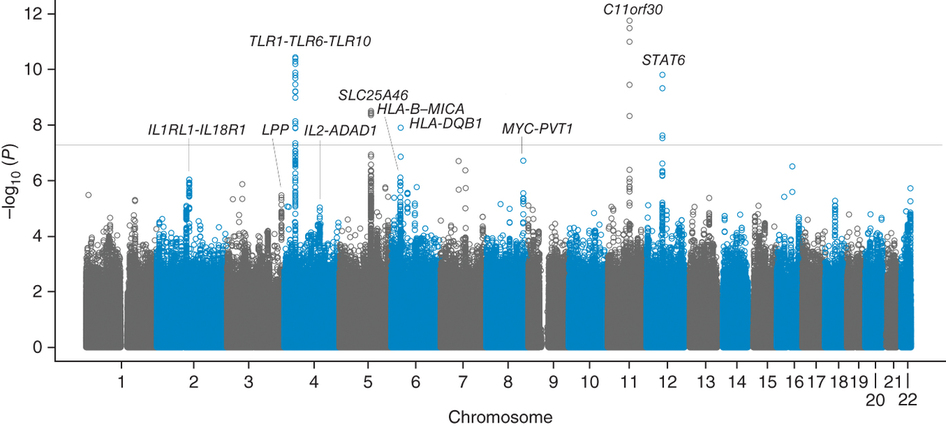 Journal and Conferences on Biomedical Engineering: Meta-Analysis of ...