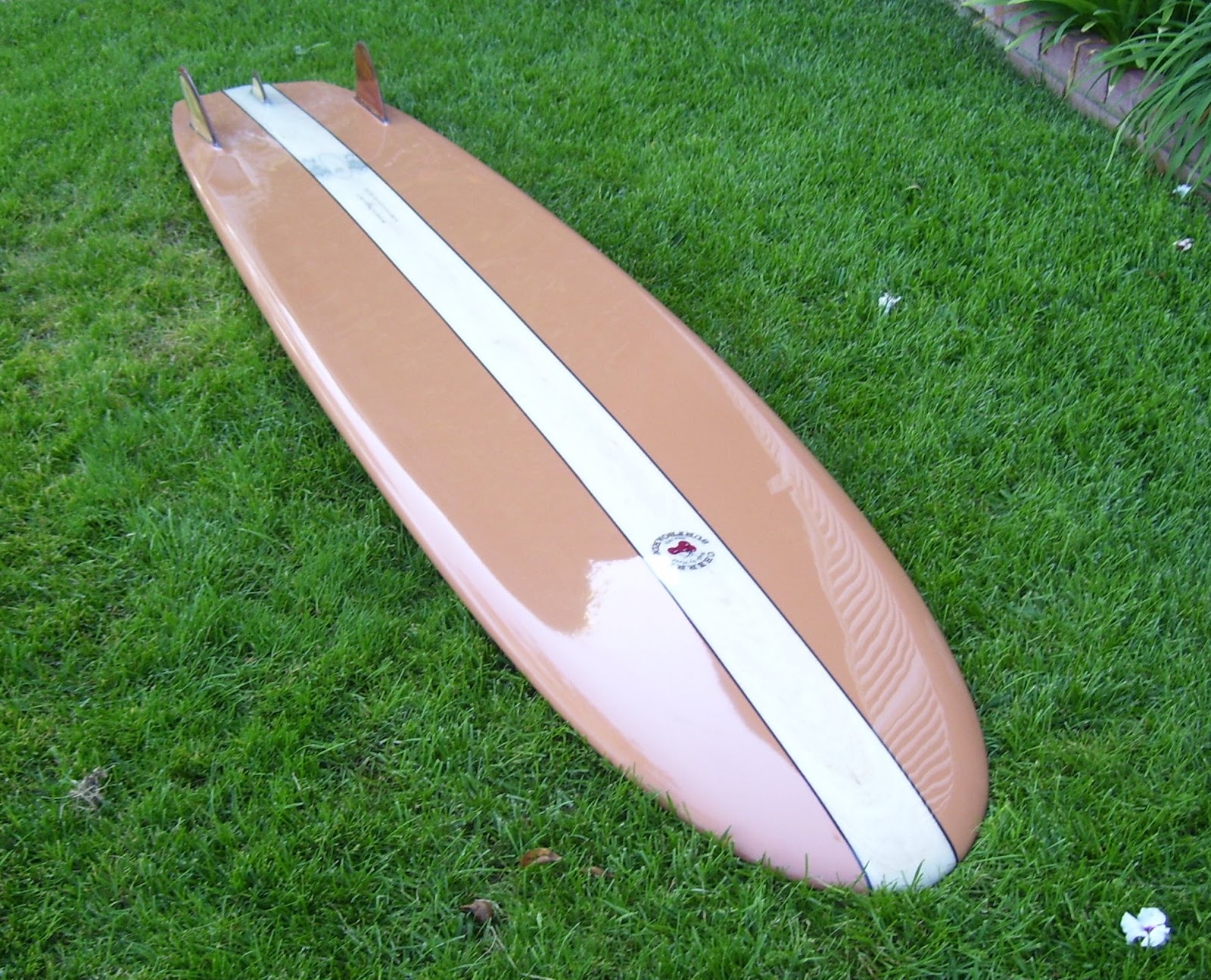 CHERRY SURFBOARDS BLOG: June 2013