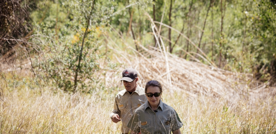Earth's Internet & Natural Networking: Busy Beavers & Slow Water ...