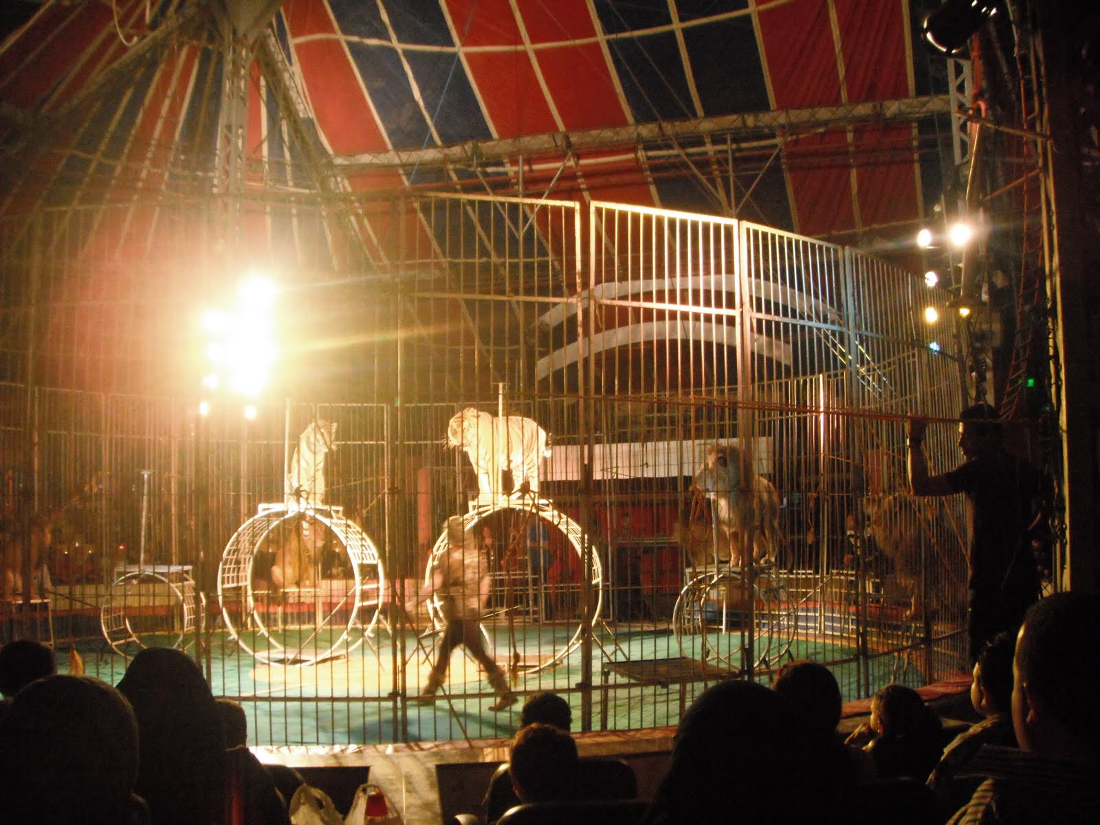 Carol, Jeff, and Cameron in Cairo: Circus in Cairo, Egypt