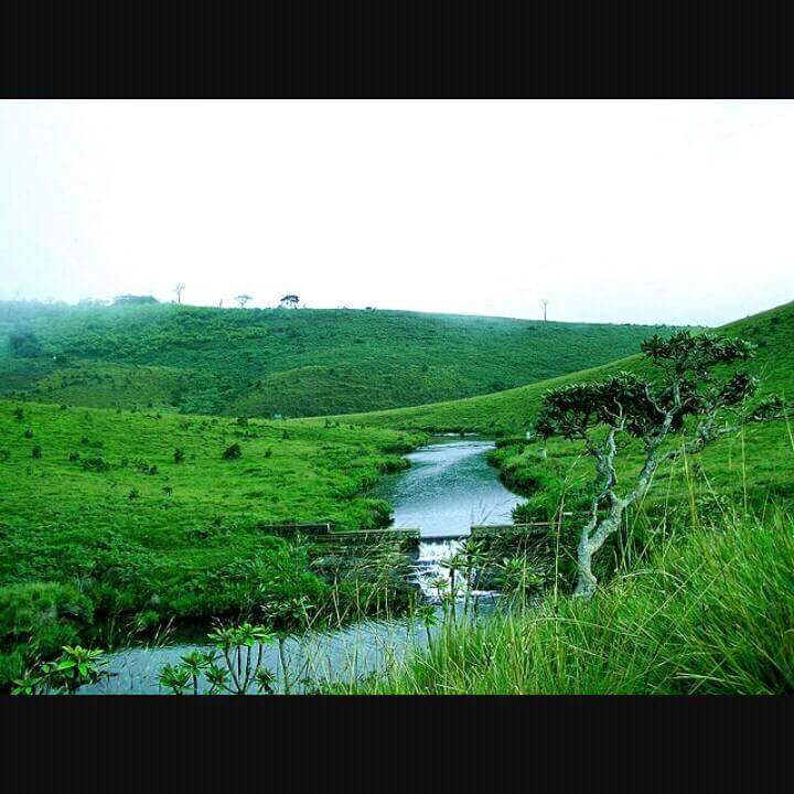 Chanil nilanka: Wonderful sri lanka hotan thanna