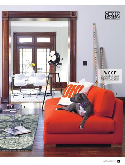 Visual Jill Interior Design: We love CB2's lookbook