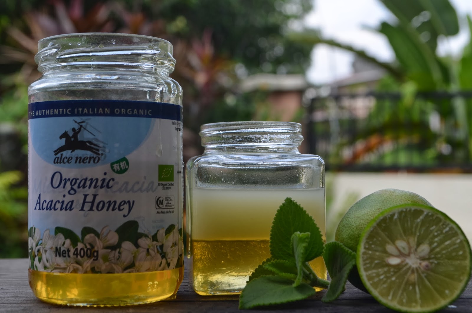from my garden: Indian Borage and limau nipis (local lemon?)