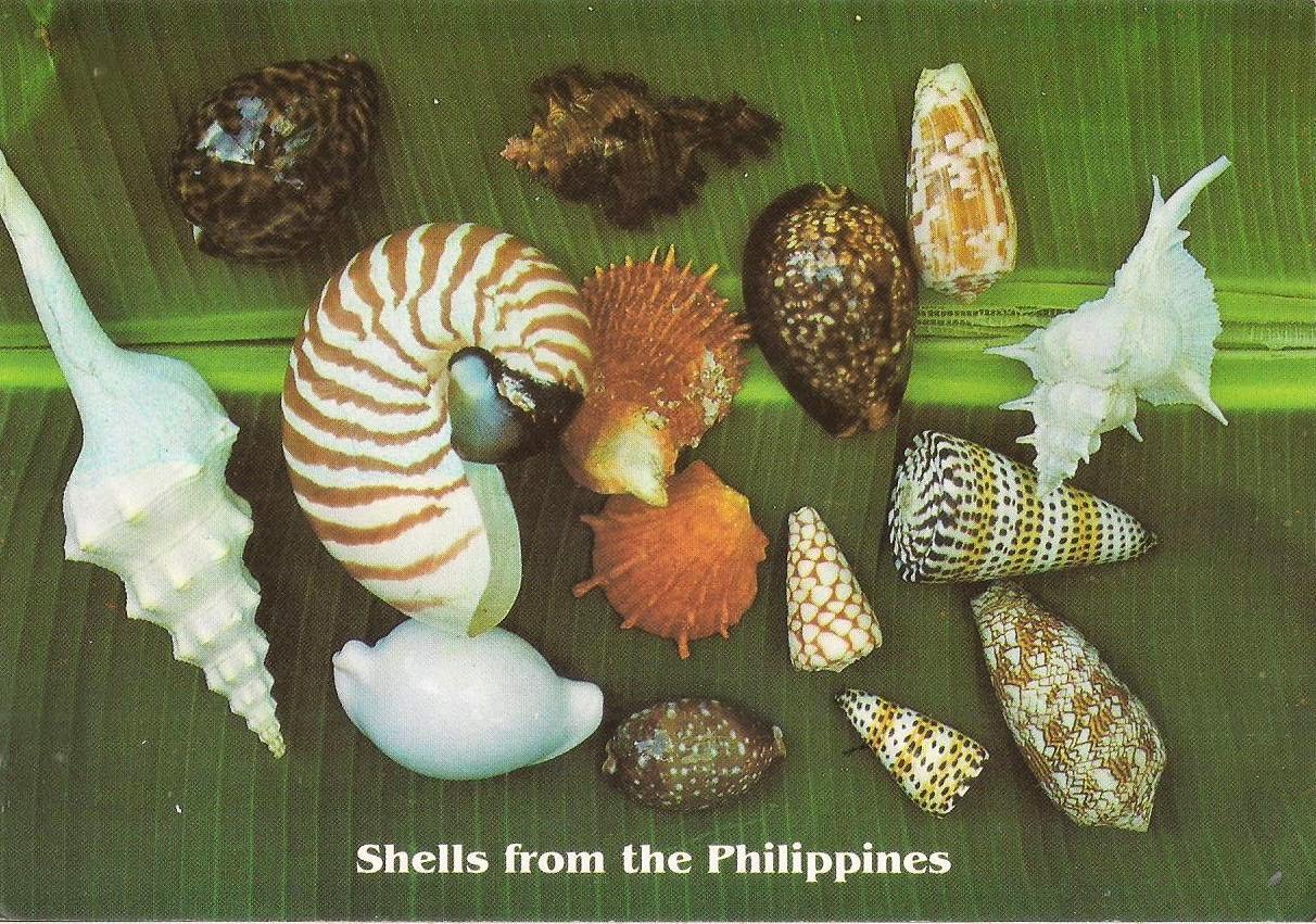 More POSTCARDS & STAMPS: PHILIPPINES - Puerto Princesa City, Palawan ...
