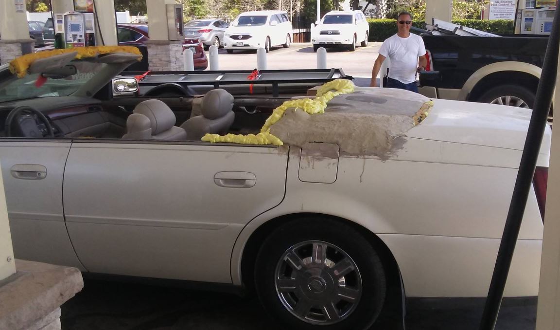 Just A Car Guy: a Spring Break Special