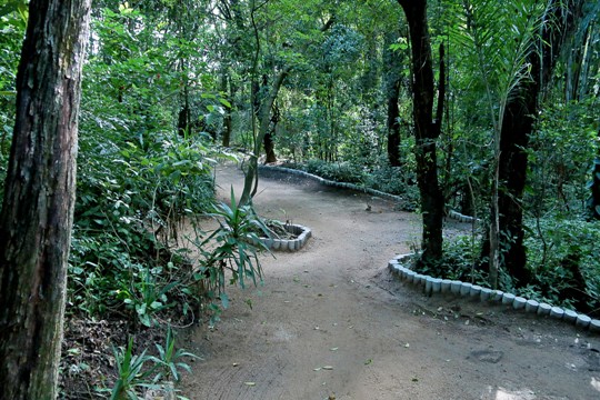 NOTÍCIAS DA CIDADE DE VOTORANTIM: Parque do Matão, uma opção de lazer e ...