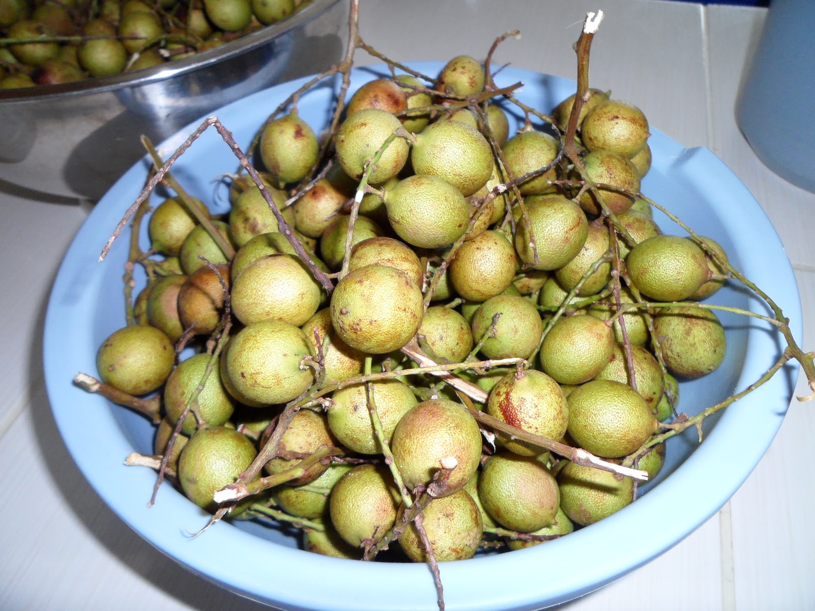 Hidden Treasures: The Dryden Family to Haiti