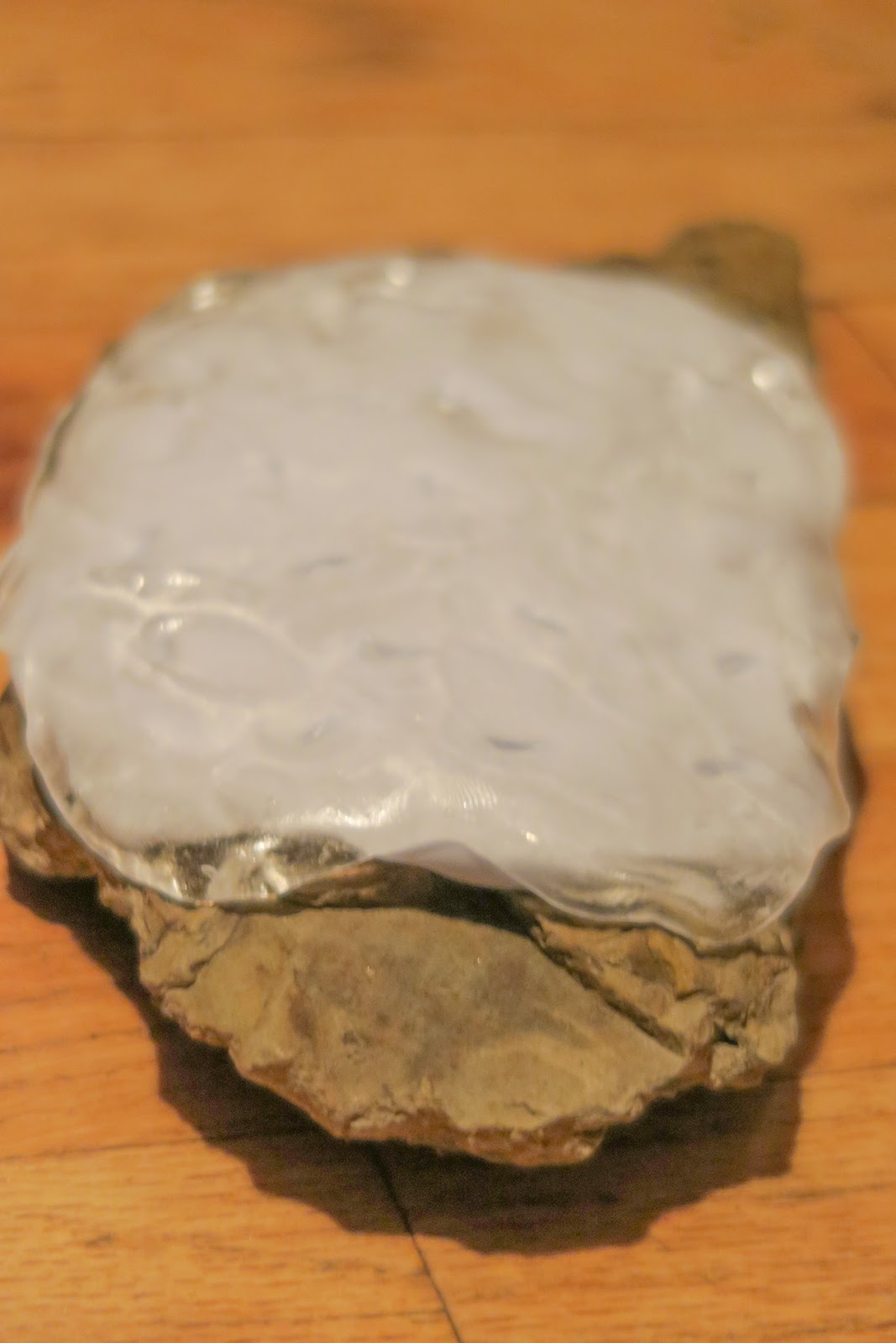 An Apel a Day: Polly Plastics Moldable Plastic & Color Pellet Kit Review