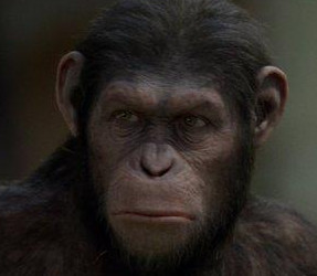 The MovieBuff: The "Planet Of The Apes" Chronology