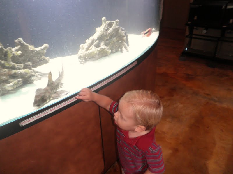 McLain Life: Day 2 With Alicia - Fish Gallery