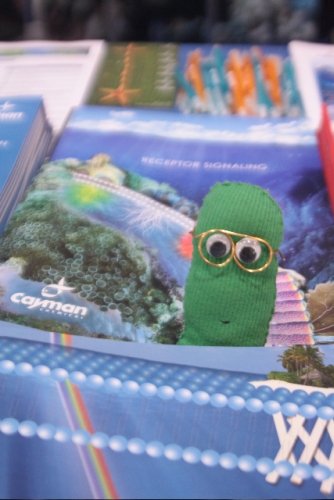 Nomadic Pickle: The Pickle Project: Hola Señor Pickle