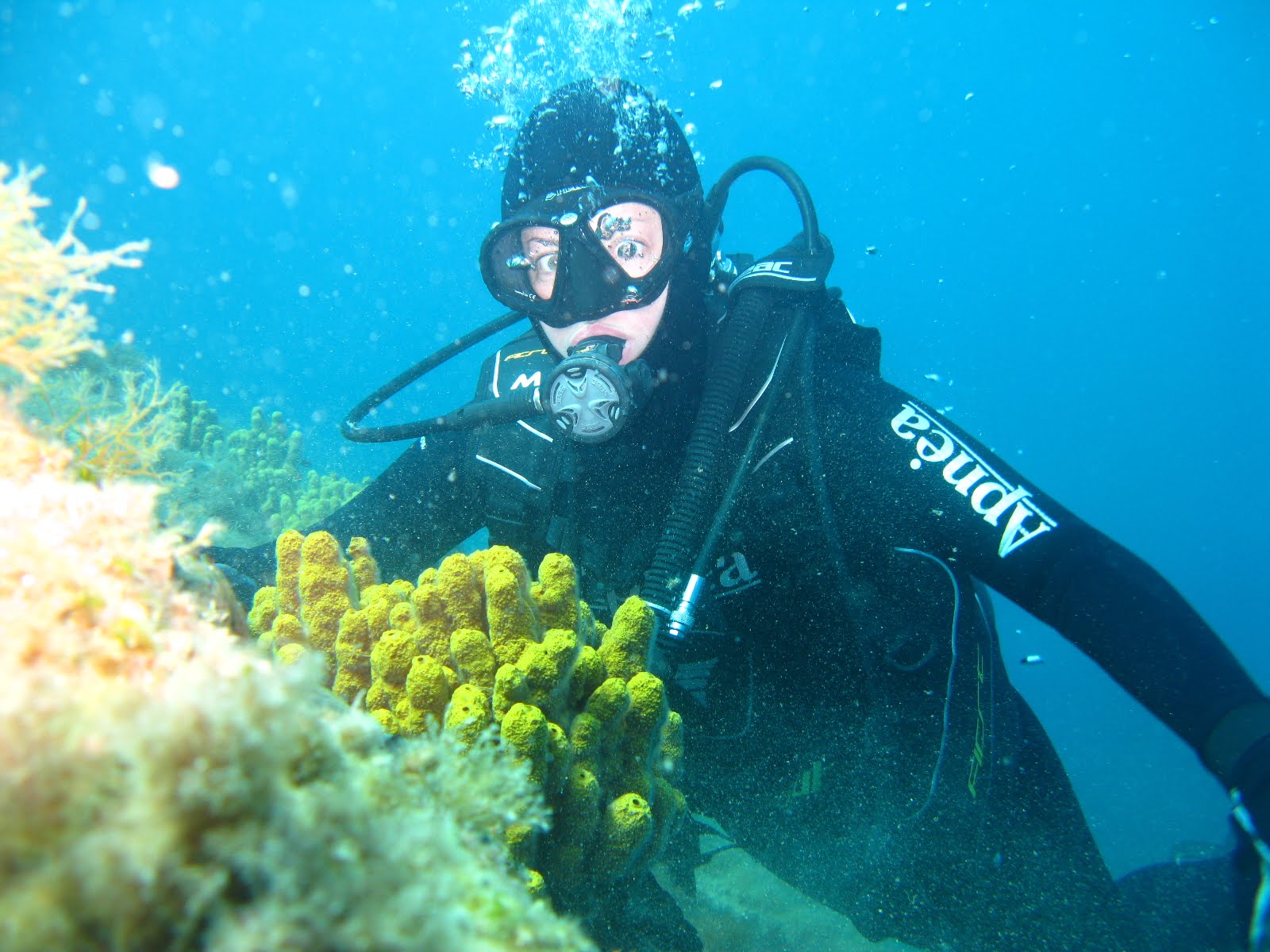 Petries Divers Club: καταδυση στο Γαρδο