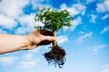 TOEFL Prep Class Vocabulary Blog: E