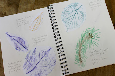The Unlikely Homeschool: 50+ Items to add to a Nature Notebook