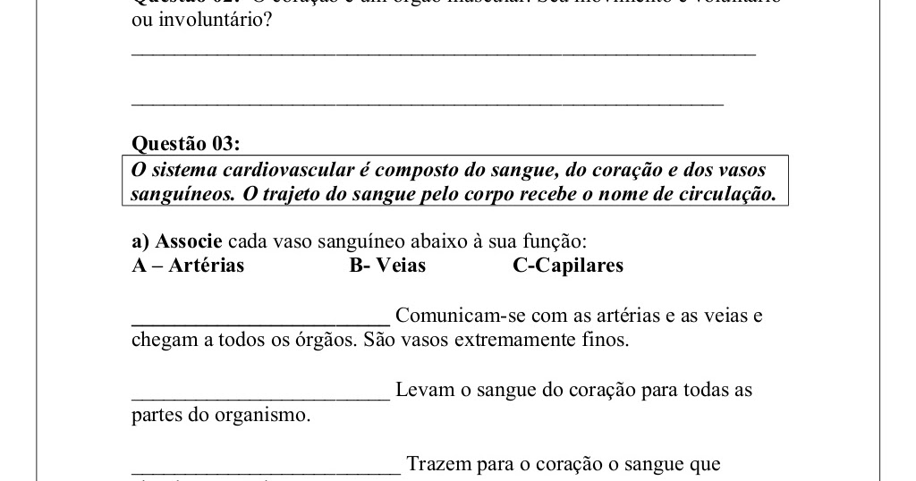 SIMULADO SISTEMA CARDIOVASCULAR 5 ANO. - Aprender e Brincar SIMULADO SISTEMA CARDIOVASCULAR 5 ANO. - Aprender e Brincar