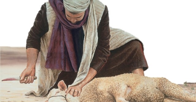 Emmaus Road Ministries: The Five Offerings Of Leviticus Part 4: Lamb Or ...