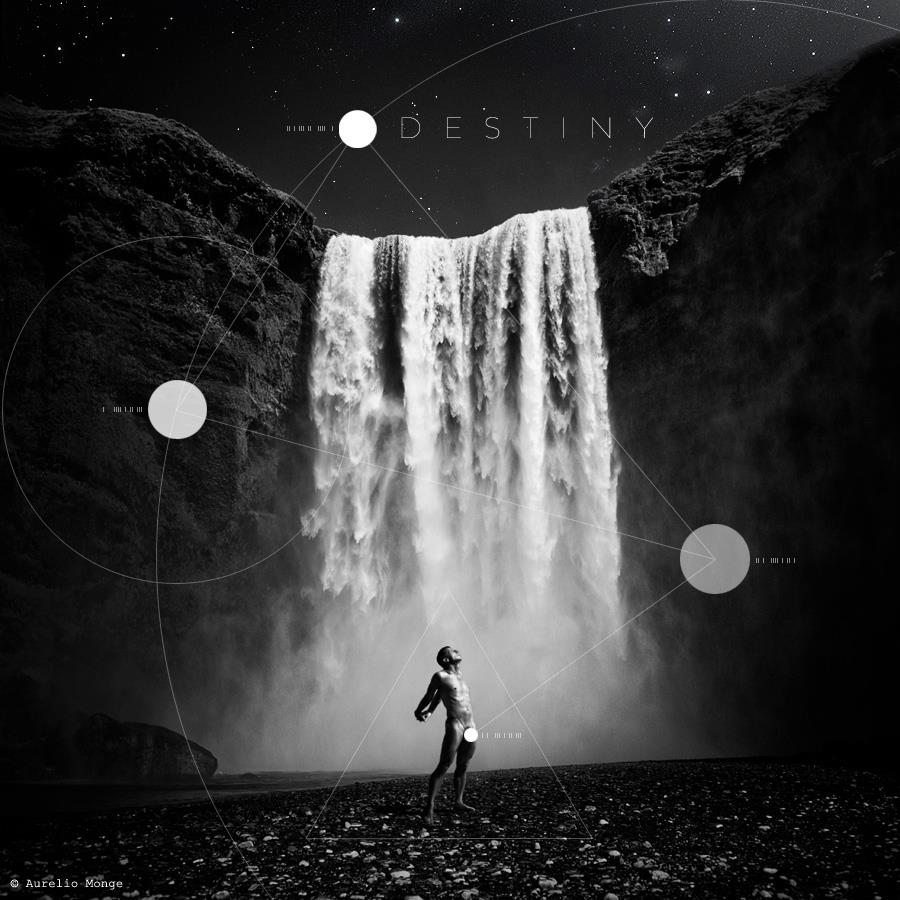 Cromofora La ( Paloma) Contemporary Online Art Gallery: CHRISTIAN HOPKINS