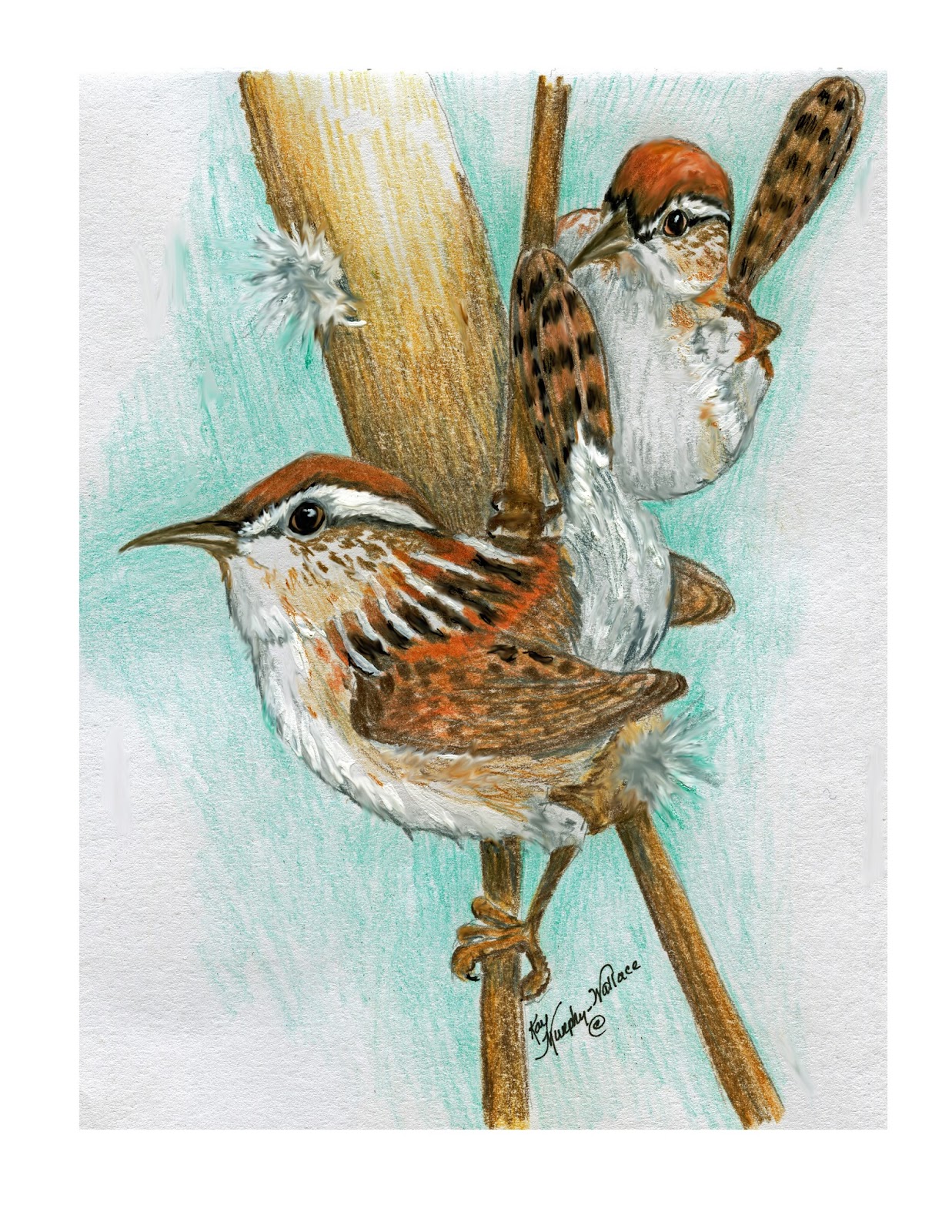 Kay Murphy's Studio Kay Murphy-Wallace:artist: New illustrations ready ...