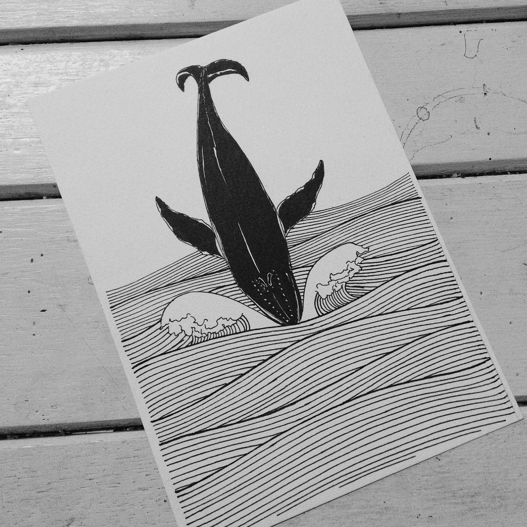 Masseu Learns To Sketch: Whale Ink Illustrations