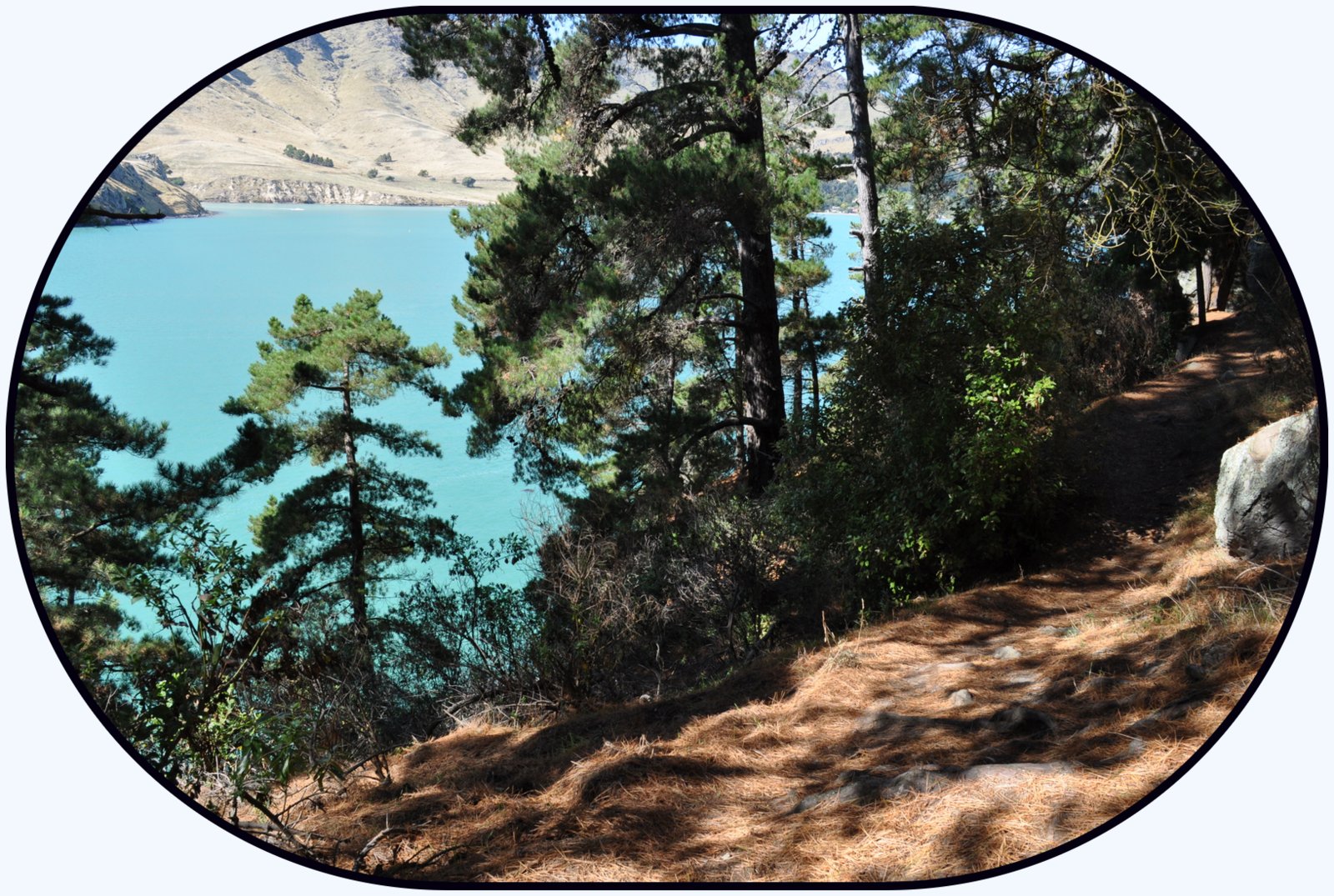 DUTCHCORNER: Lyttelton to Diamond harbour