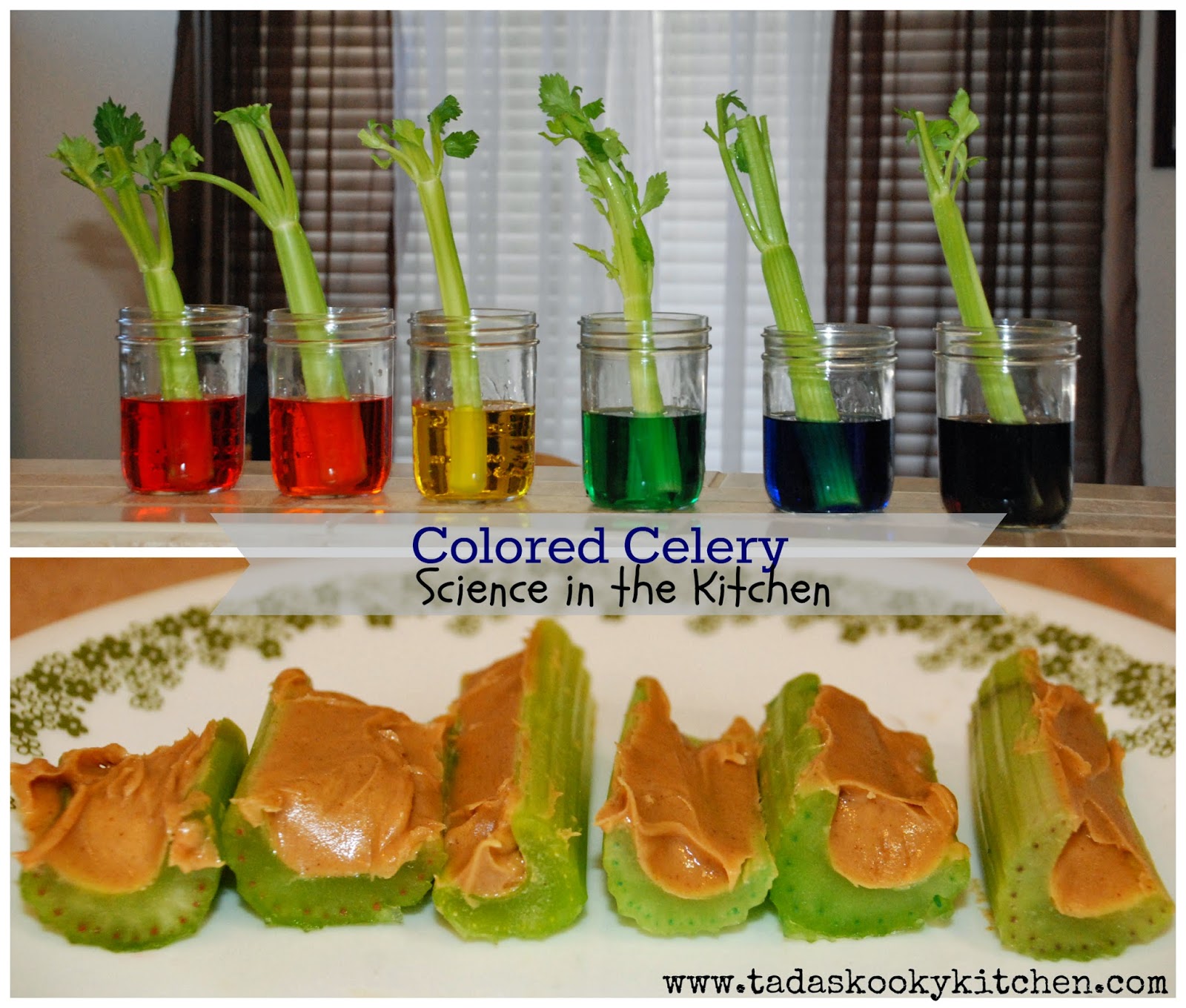Tada's Kooky Kitchen: Colored Celery