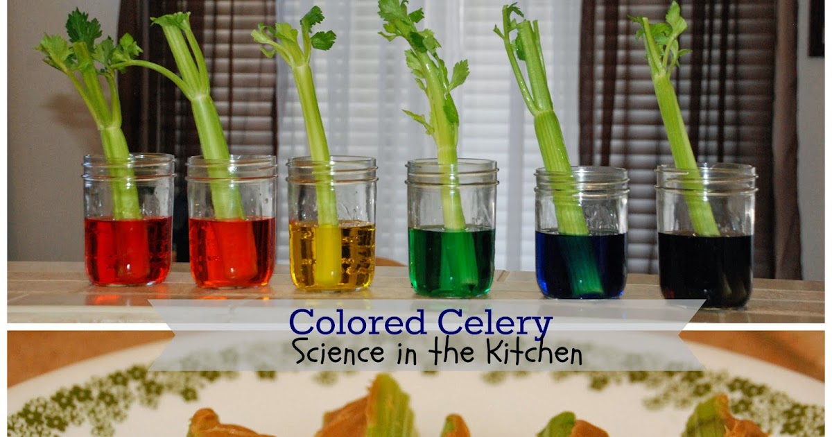 Tada's Kooky Kitchen: Colored Celery