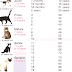 Cat Years - Cat Life Expectancy Chart