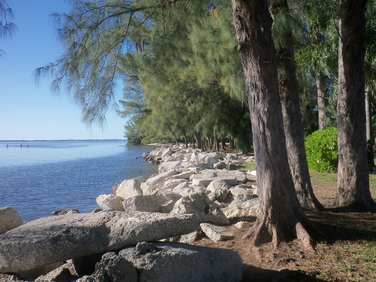 Southwest Florida Shoreline Studies: Tampa Bay, Sunshine State Parkway ...