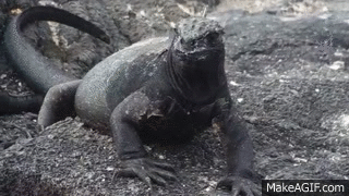 The 'Scope: Sneezin' All Season