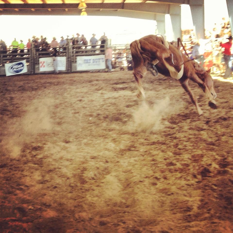 honey and horseshoes: The Dirt is Flying