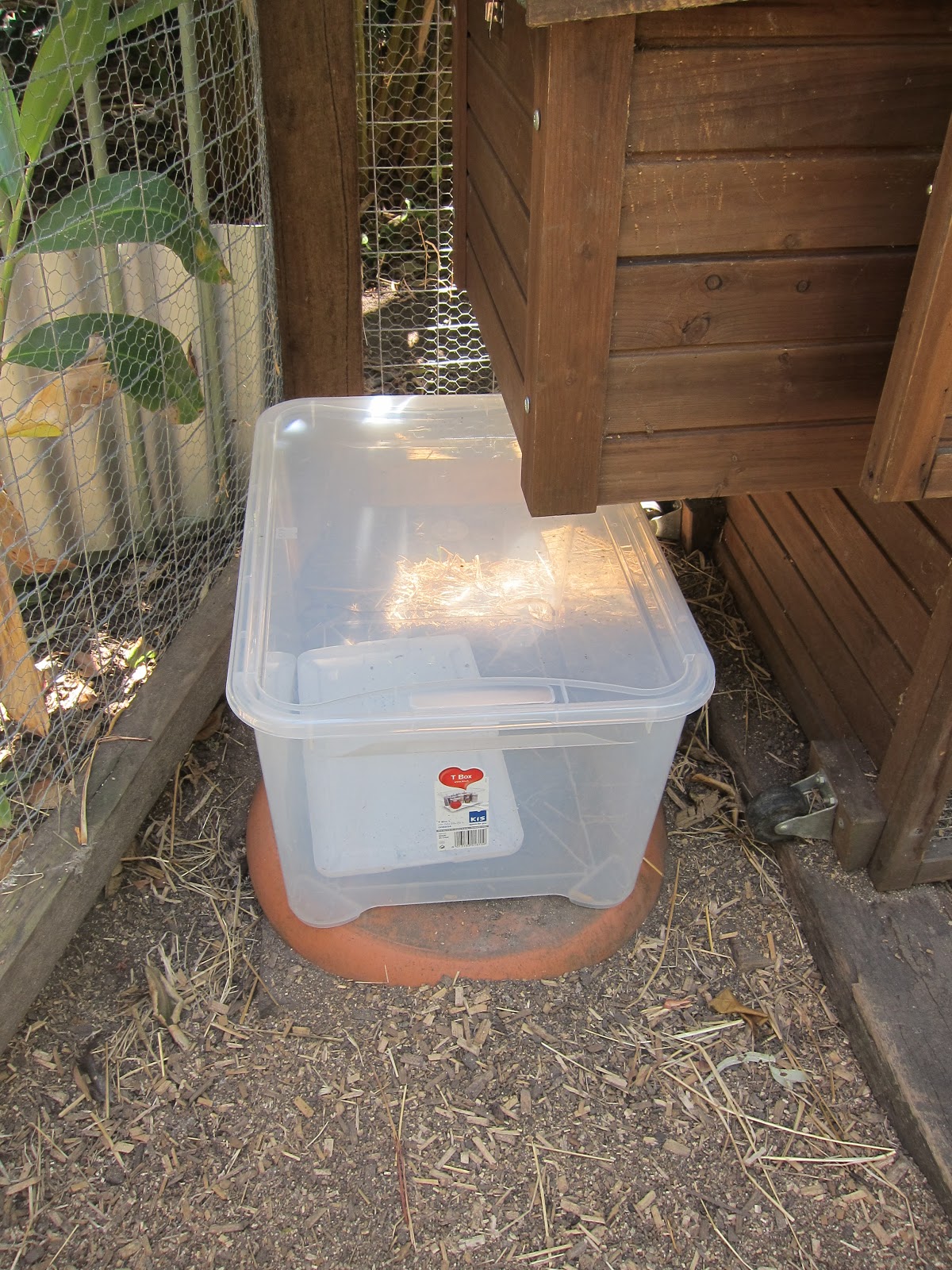 Chickens And Other Simple Pleasures: Chicken Pen Hygiene