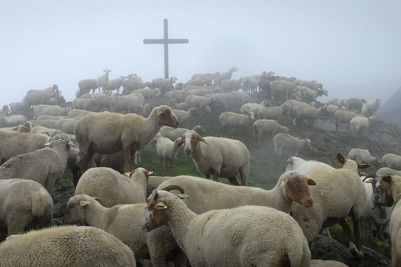 The Fountain of Life Church: A Shepherd's Priority
