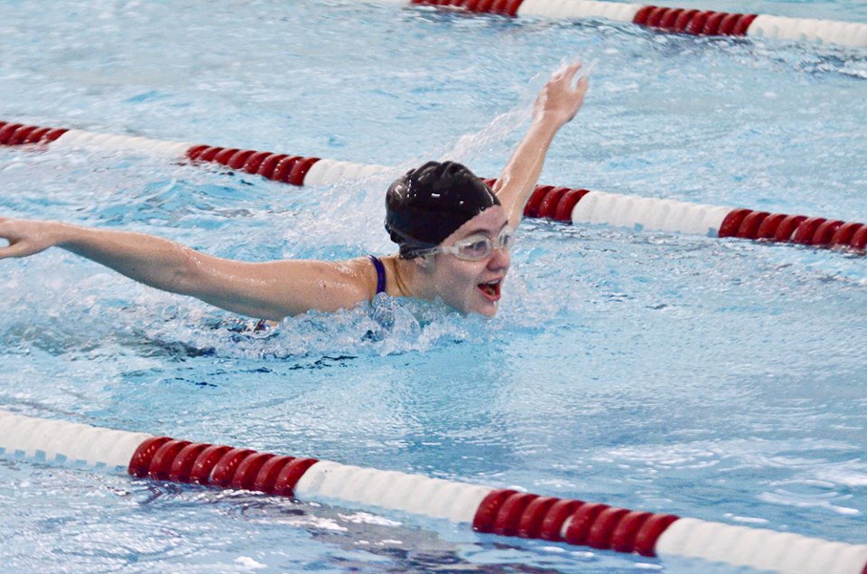 Jersey Shore (PA) Swim: Central Mountain Swim Team – Arctic Swim ...