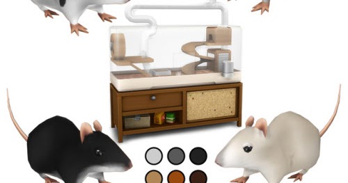 Rat boy sims black eye sims 4 - keraip