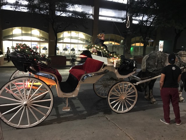 Austin, Texas Daily Photo: Your chariot awaits!