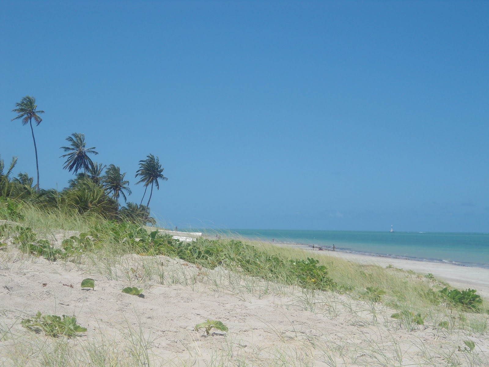 37. Praia Formosa, Cabedelo ~ Paraíba em 1000 lugares