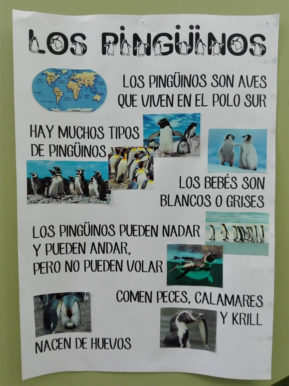 Juntos descubrimos el mundo: PROYECTO: "LOS PINGÜINOS"