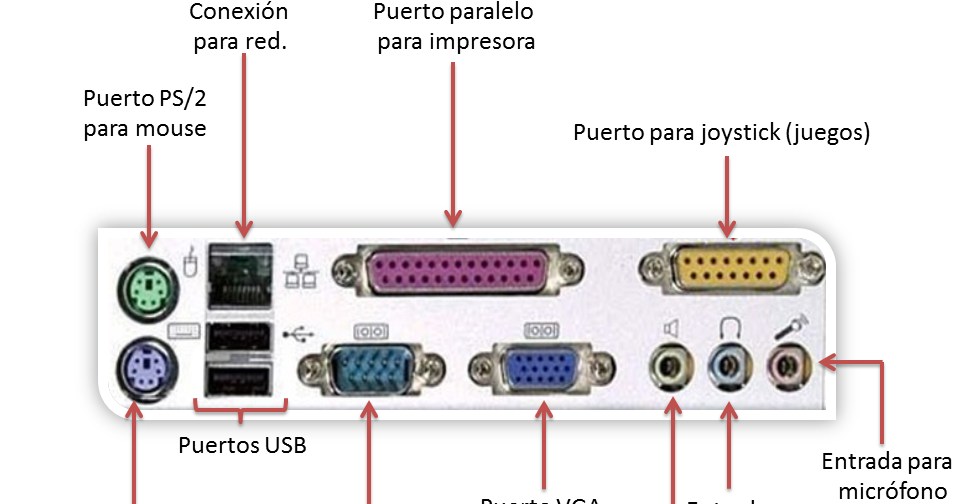 CONECTORES DE UN EQUIPO DE COMPUTO