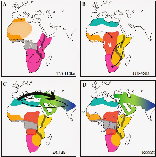 Sciency Thoughts: The origin and diversification of modern Lions.