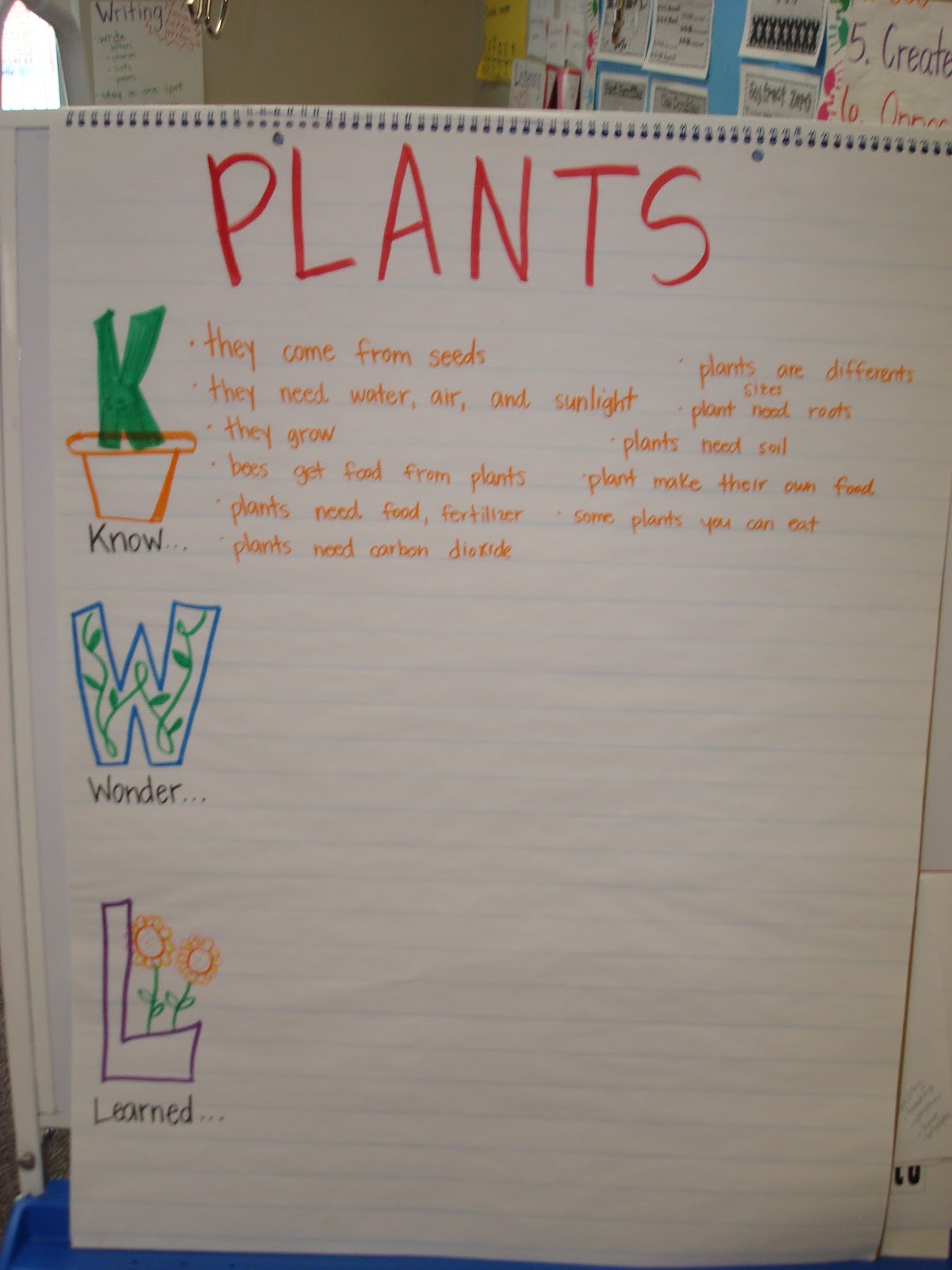 Mrs. Coffee's 2nd Grade Class: Plants! Plants! Plants!
