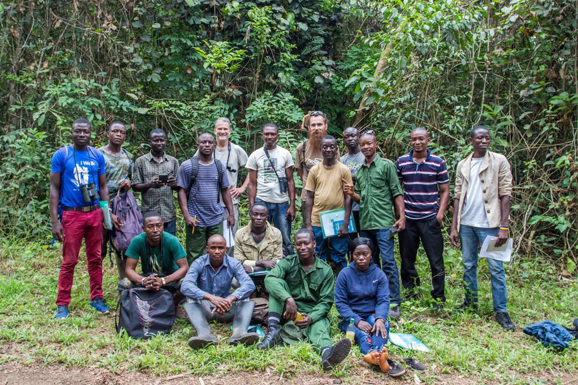 Stuart Marsden's Conservation Research Group: Spotlight on Timneh Parrot