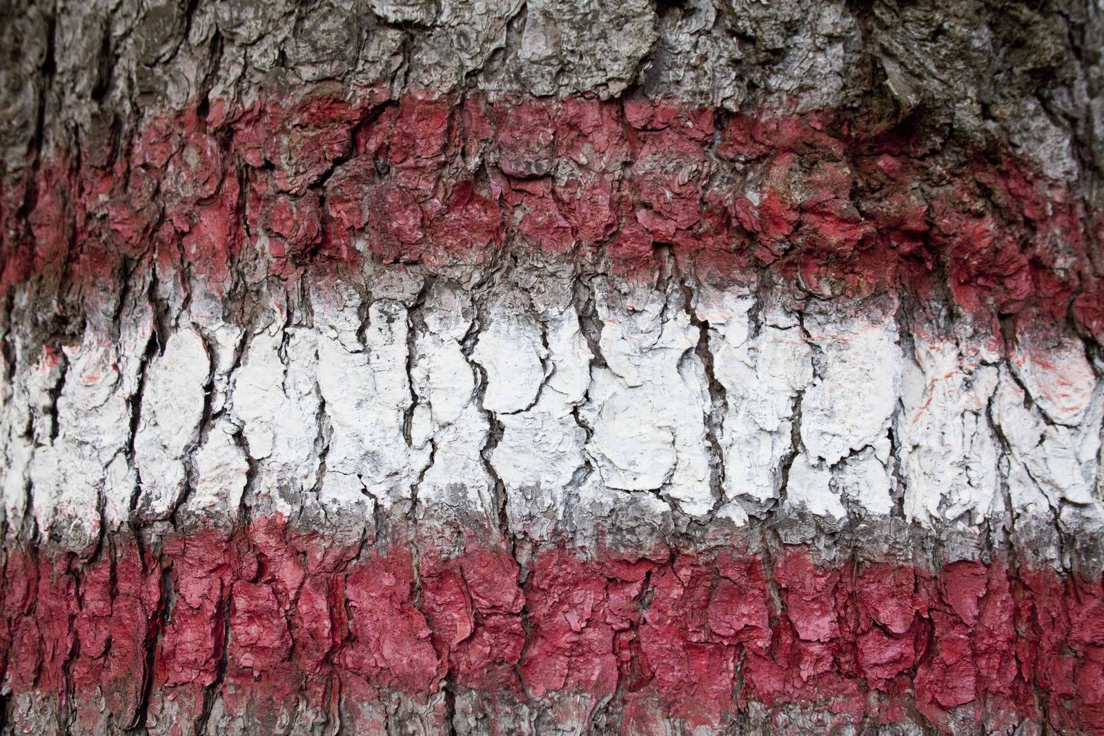 The Art of Photography: Horizontal and Vertical lines