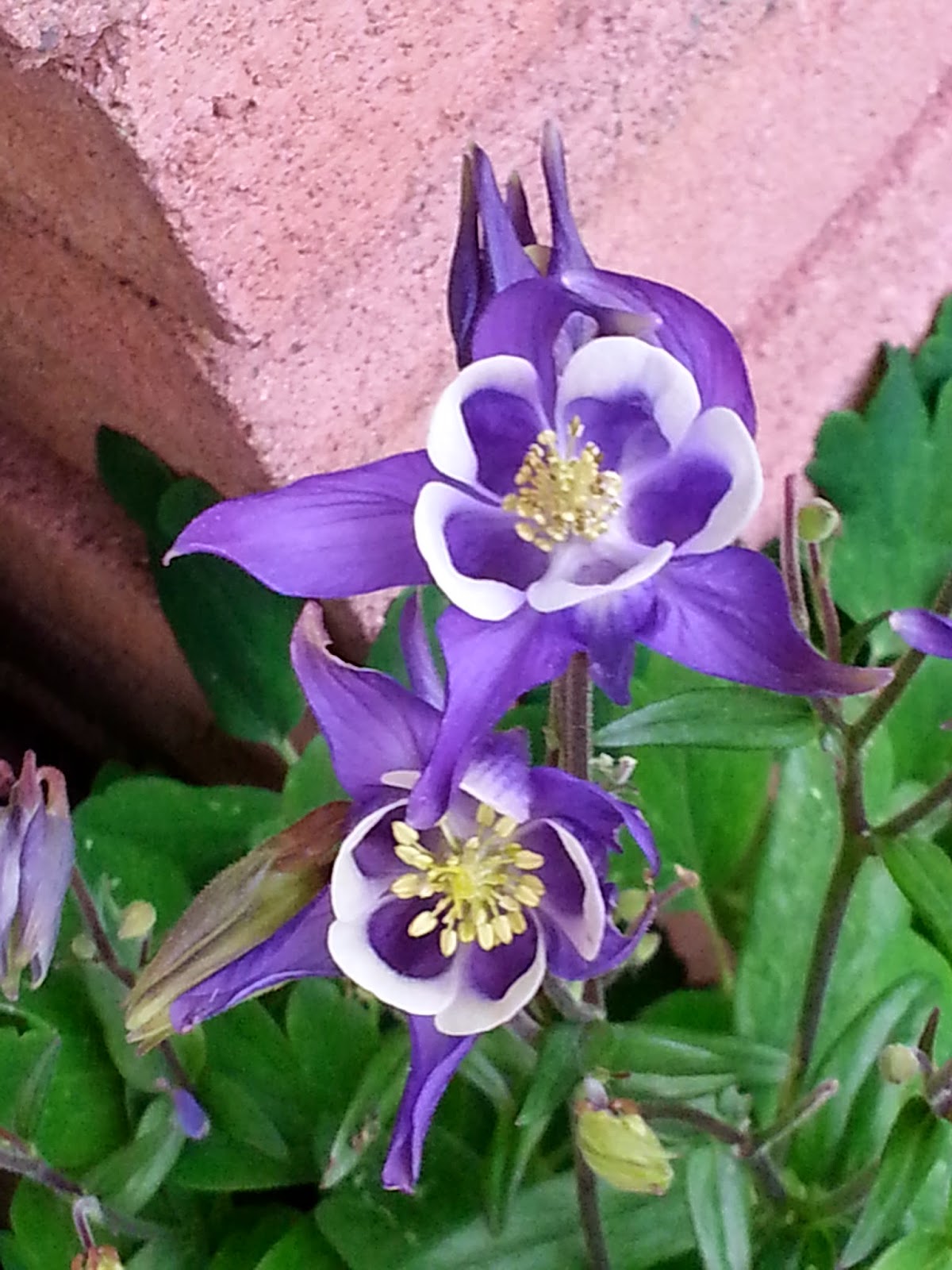 Lioness in Exile: August 2014