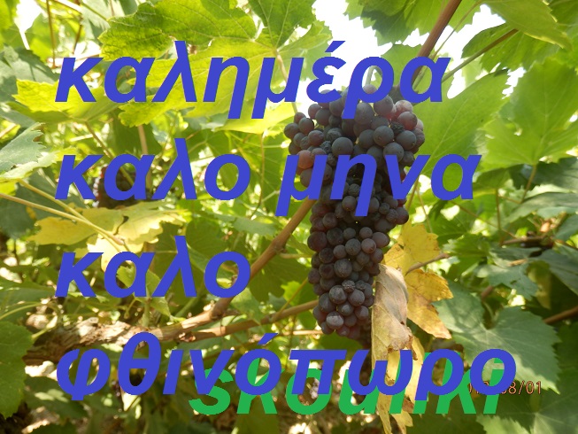ΟΝΕΙΡΕΜEΝΑ ΧΡΟΝΙA: Καλό μήνα, καλό Φθινόπωρο, καλημέρααααααααααααααααααα