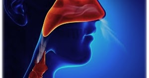 Rhinoplasty Recovery Guide 👃 - 25 - Recommendations For Postoperative ...