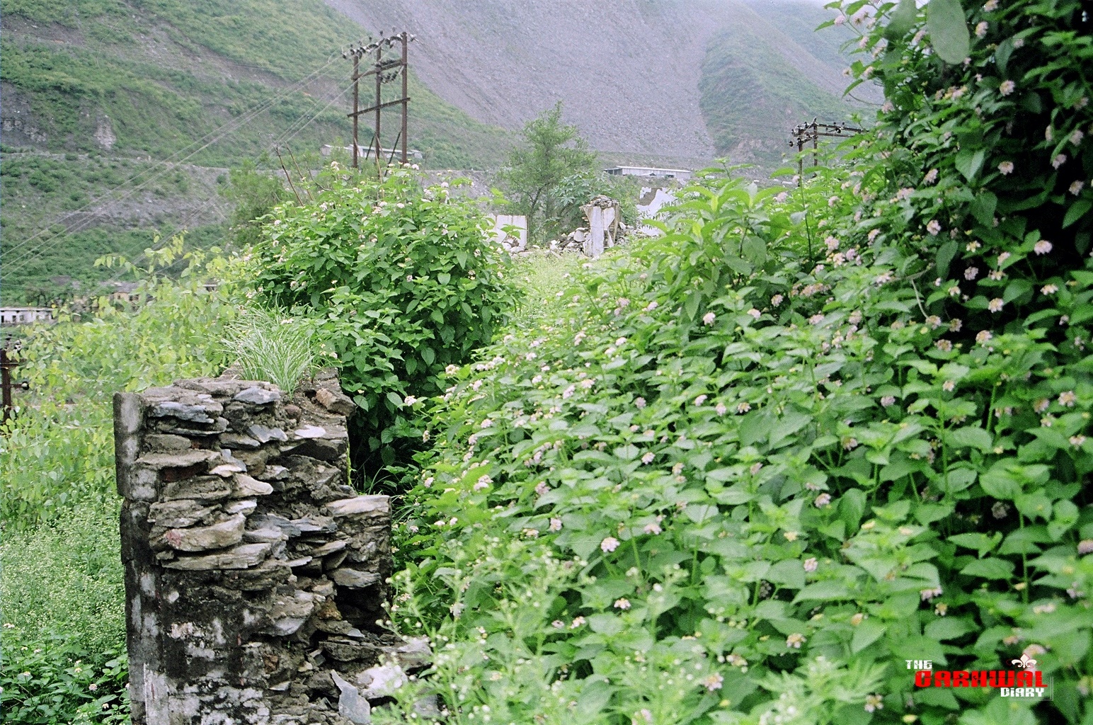 Old Tehri Pics, Rare pics of Old Tehri town, Submerged City Before Dam ...