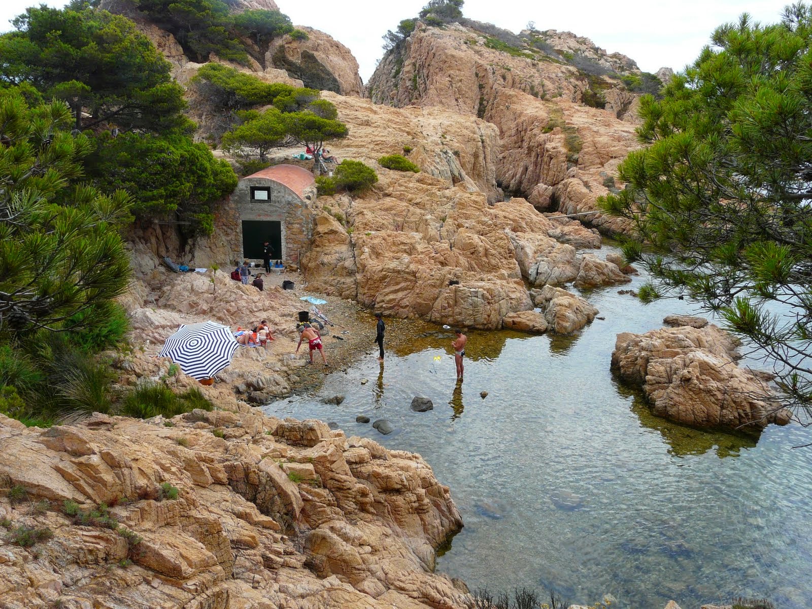 POESIA I EXCURSIONISME: Tamariu, Cala Pedrosa ( La Musclera ), Aigua ...