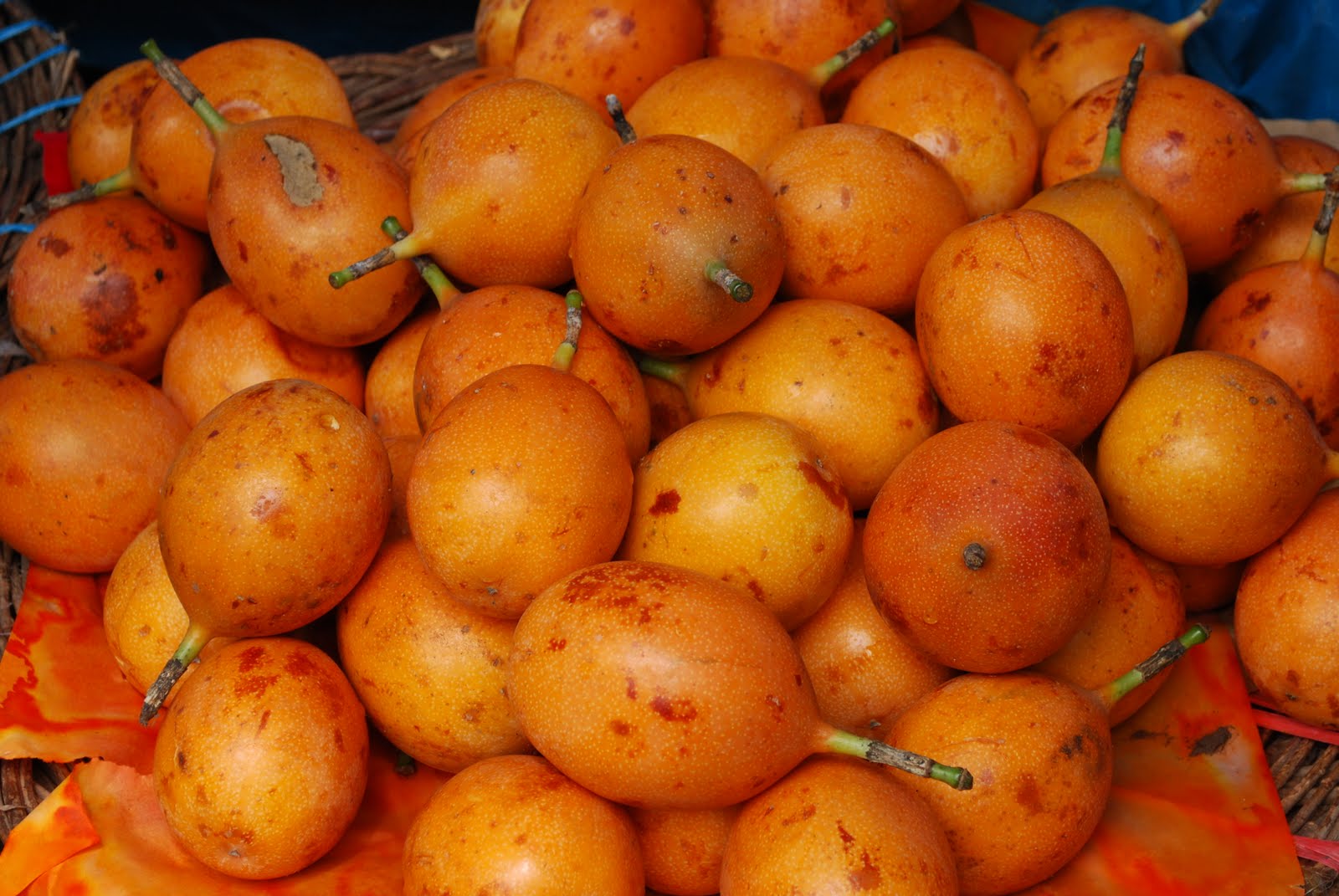 curving back: sweet passionfruit