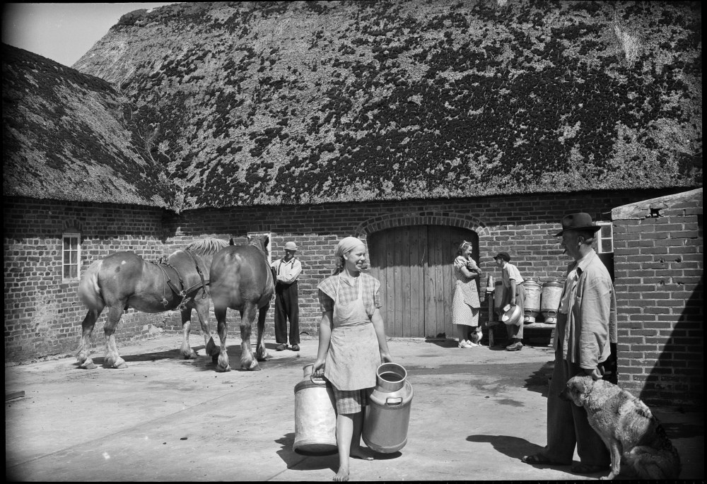 Everyday Life of Denmark During the 1930s and 1940s Through Sven Türck ...